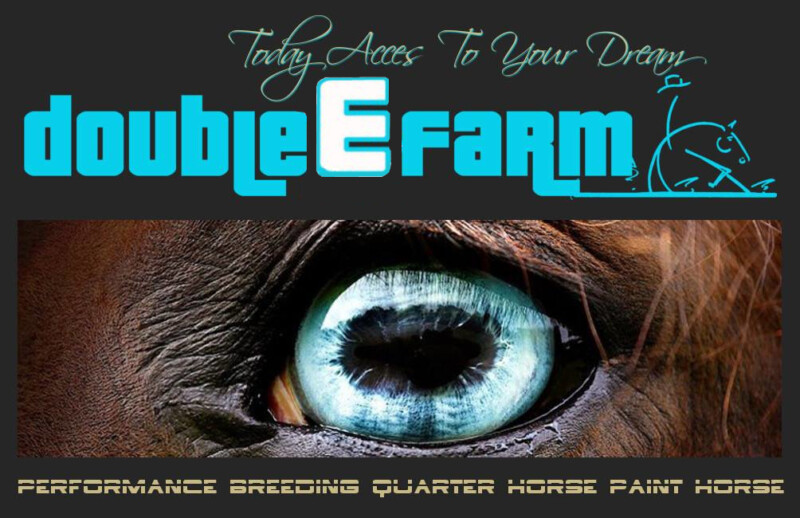 BLUE LIGHTNING GUN EE Aka “Lloyd” - Double E Farm